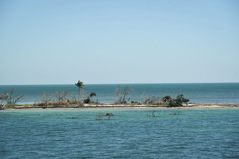 Un week end dans les Keys - La Valise à Fleurs, blog de voyage