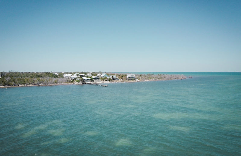 Un week end dans les Keys - La Valise à Fleurs, blog de voyage