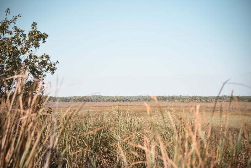 La côte ouest de la Floride - La Valise à Fleurs, blog de voyage