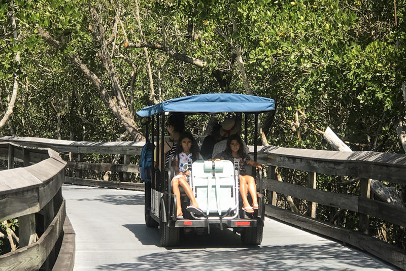 La côte ouest de la Floride - La Valise à Fleurs, blog voyage