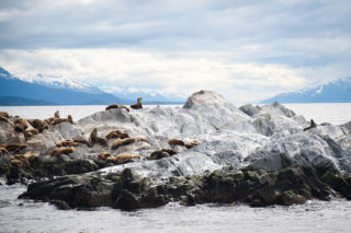 Voyage de 3 semaines en Argentine – Organisation et itinéraire - La ...
