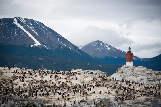 Voyage de 3 semaines en Argentine – Organisation et itinéraire - La ...