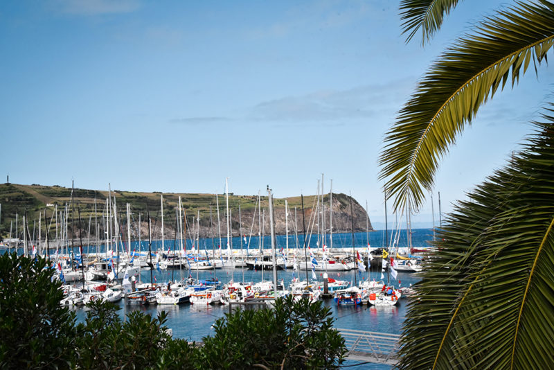Ile de Faial – Açores #3 - La Valise à Fleurs, blog de voyage