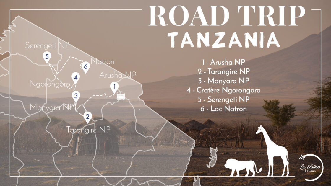 10 jours de safari en Tanzanie - La Valise à Fleurs, blog de voyage